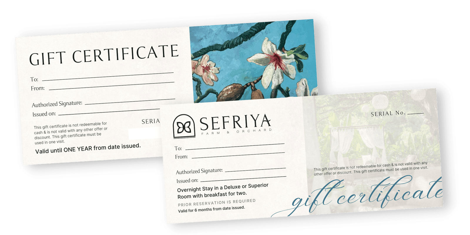 Plan Your Visit - Sefriya