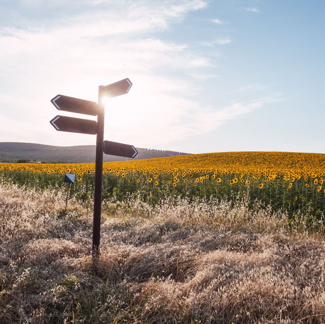 Stryber | Corporate Innovation Done Right