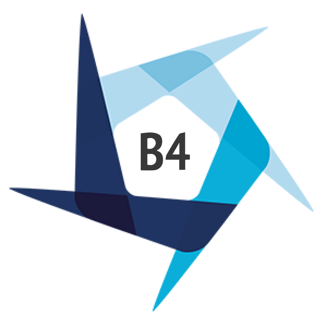 B4 Investigate - prevent financial loss