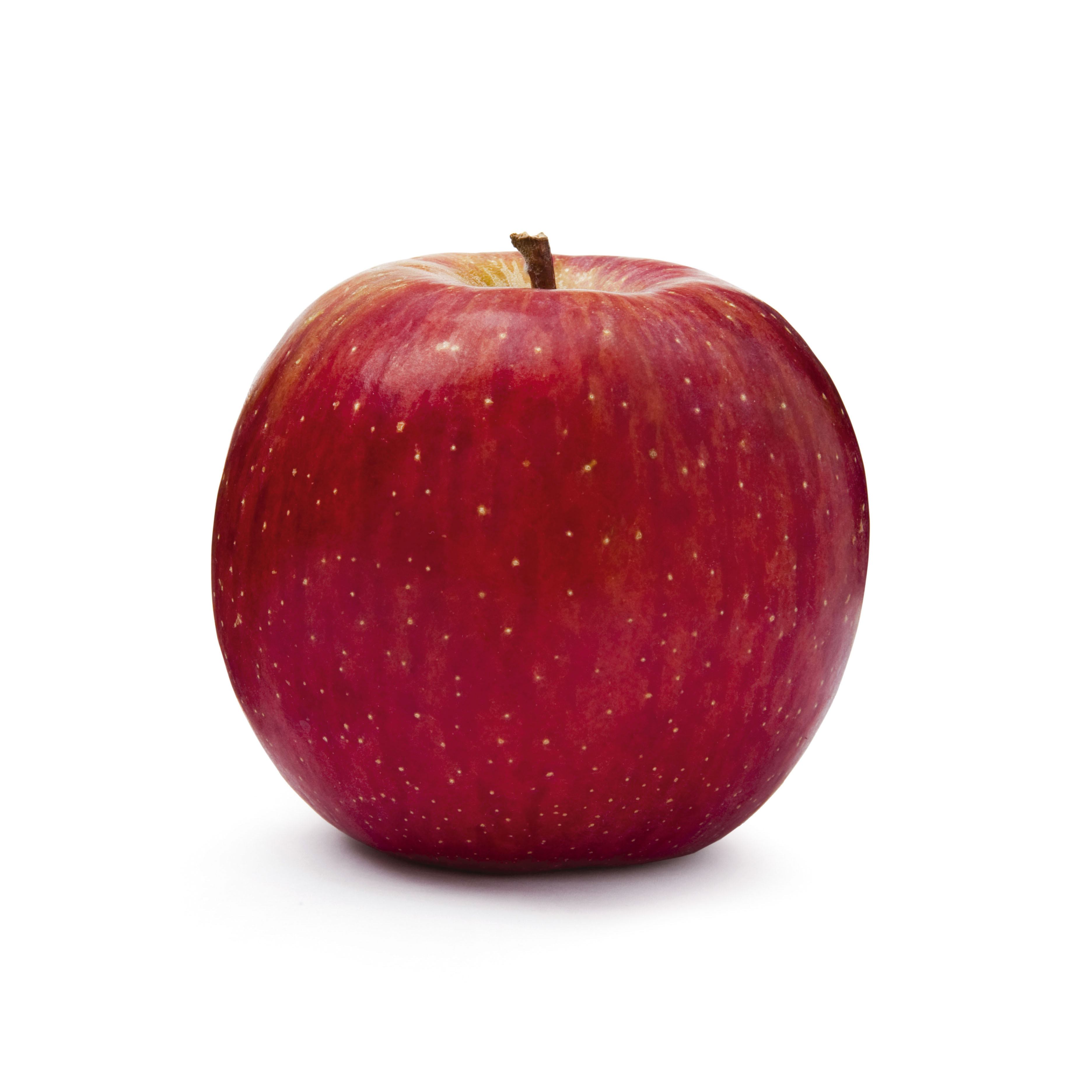 Apples | Freshco