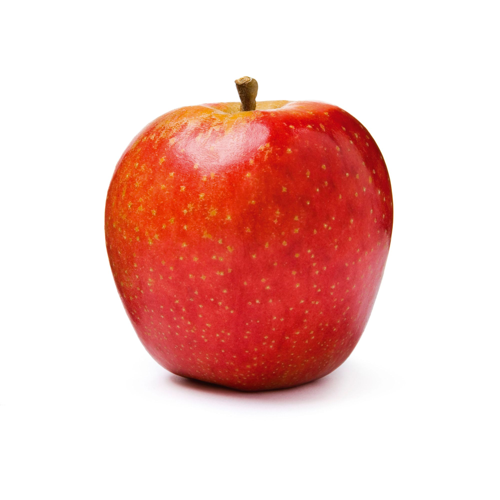 Apples | Freshco
