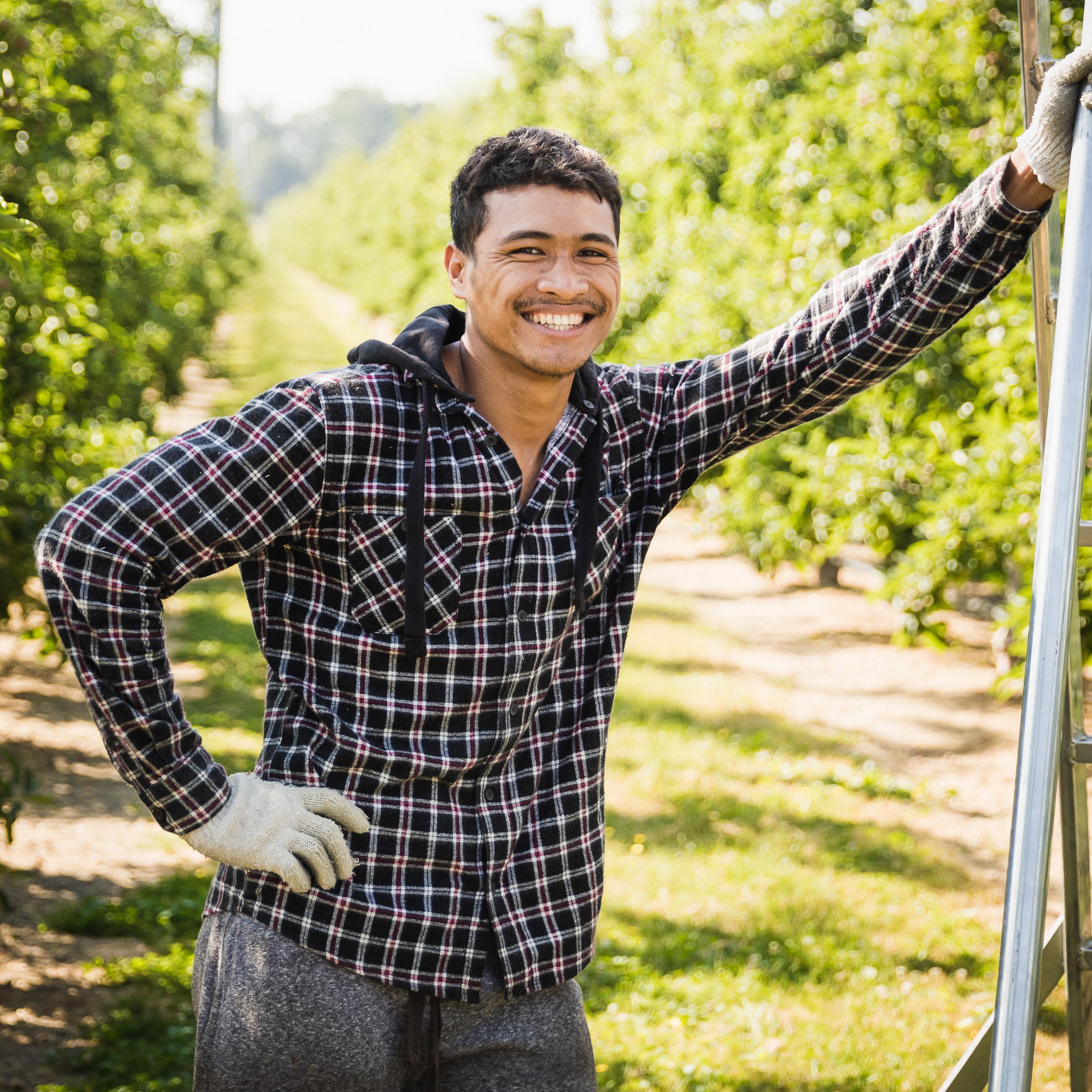 Work With Us! | Freshco