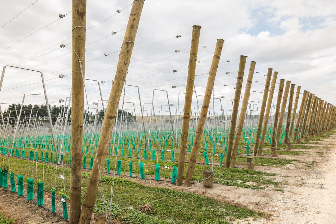 Work With Us! | Freshco