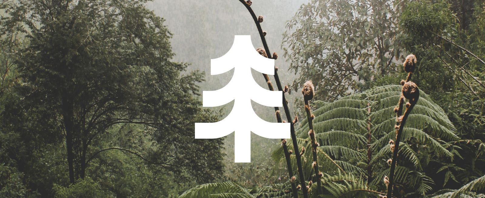 Sustainability Guides