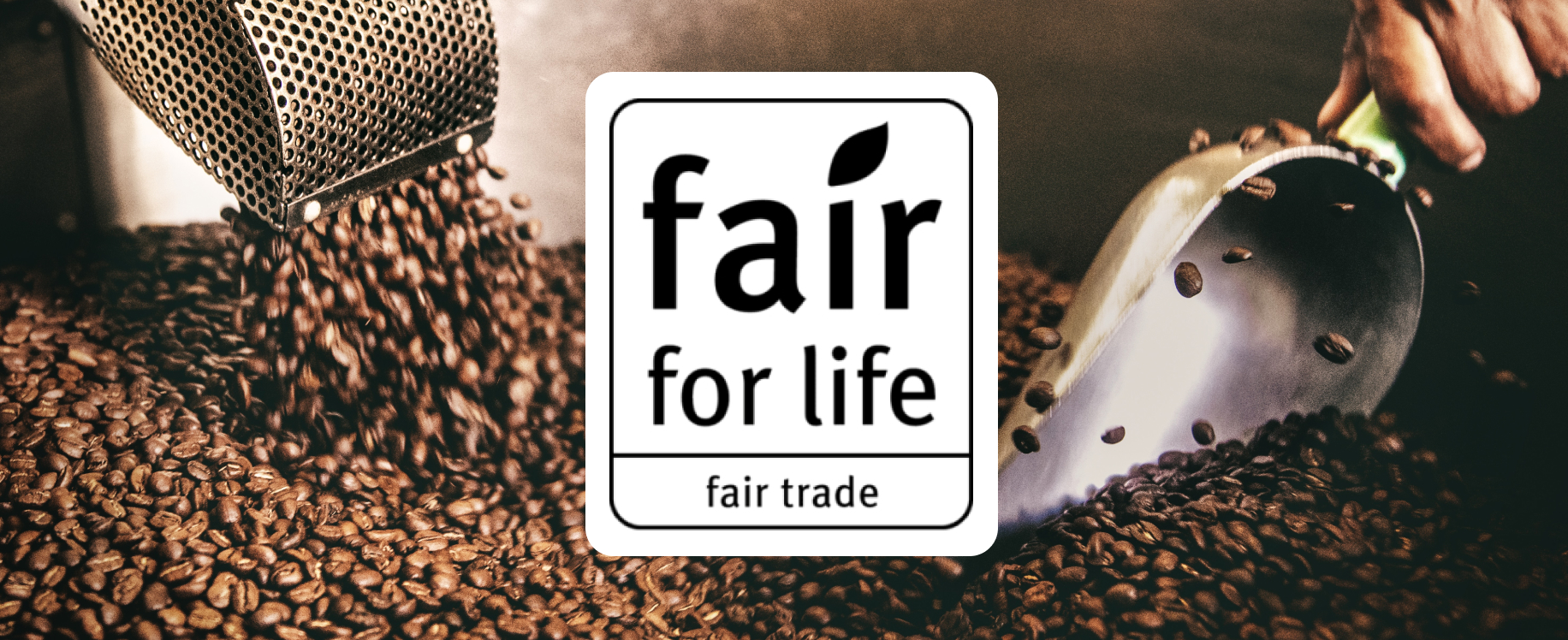 Sustainability Guides