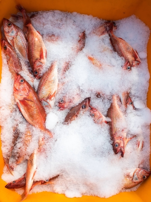 Home | H&H Fresh Fish | Santa Cruz, CA