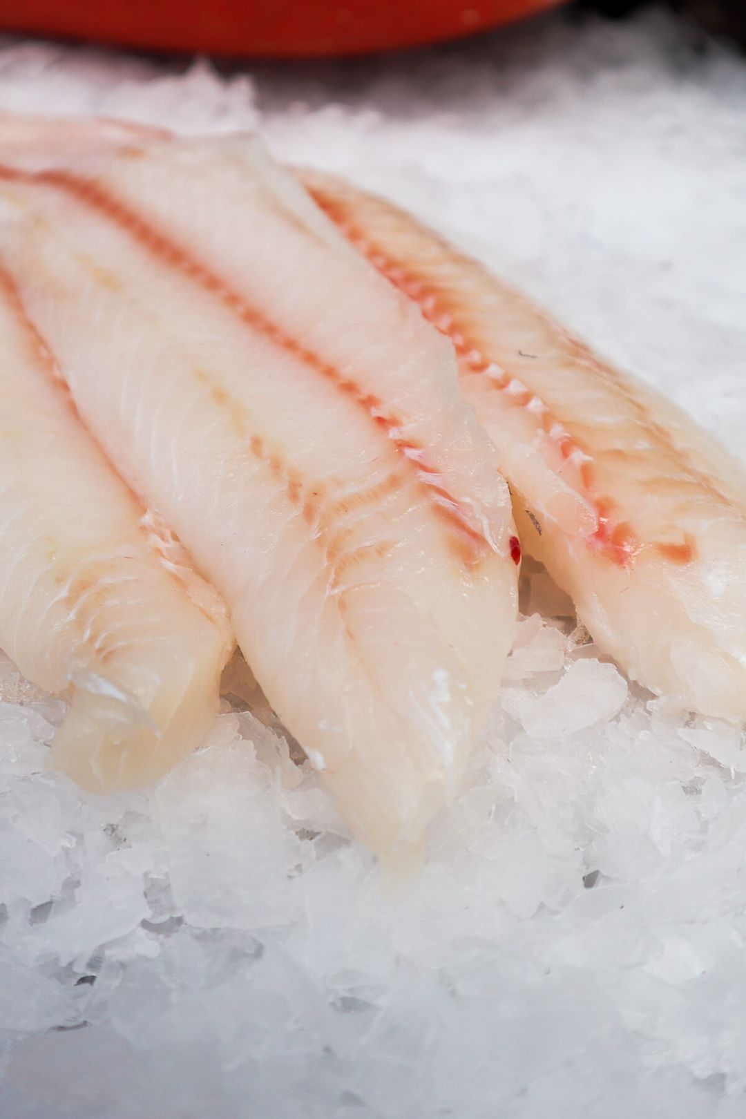 Seafood Directory | H&H Fresh Fish | Santa Cruz, CA