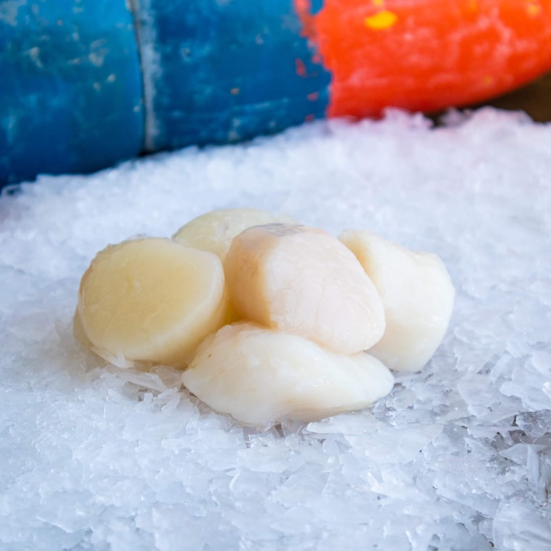 Home | H&H Fresh Fish | Santa Cruz, CA