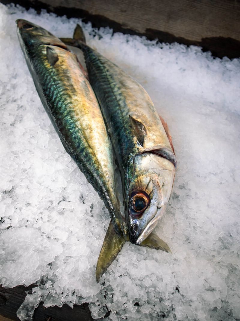 Home | H&H Fresh Fish | Santa Cruz, CA