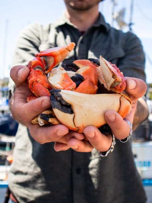 Home | H&H Fresh Fish | Santa Cruz, CA