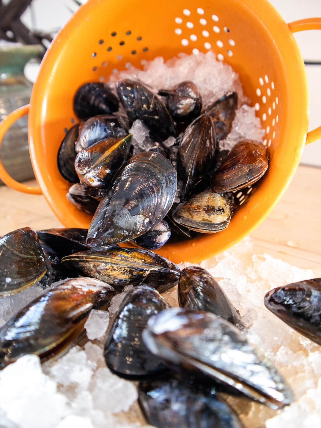 Home | H&H Fresh Fish | Santa Cruz, CA