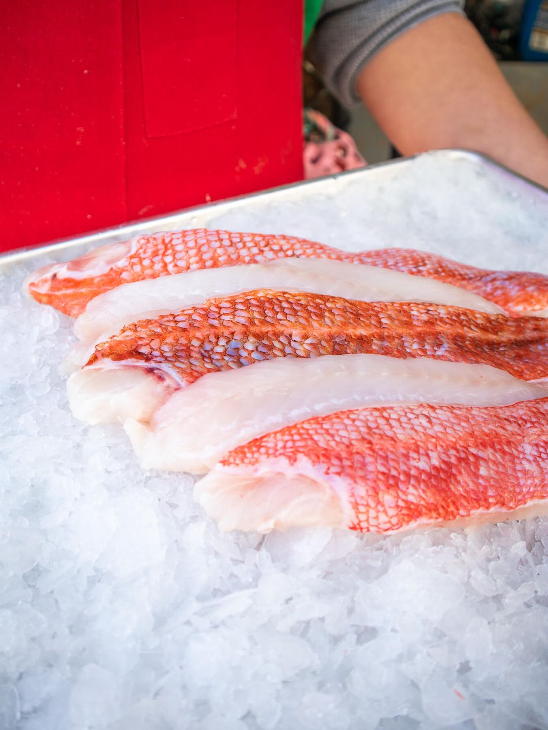 Seafood Directory | H&H Fresh Fish | Santa Cruz, CA