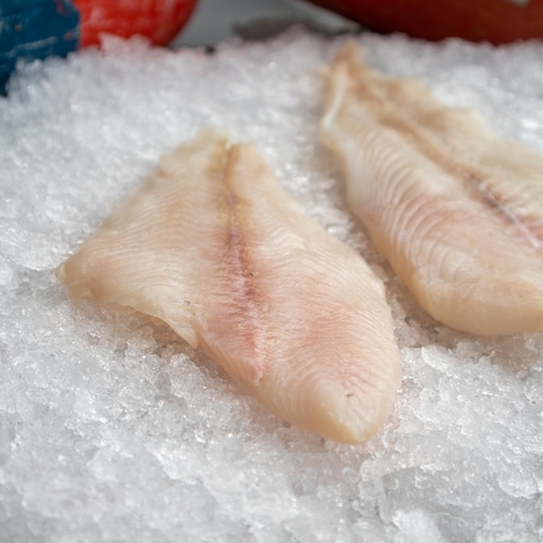 Current Selection | H&H Fresh Fish | Santa Cruz, CA