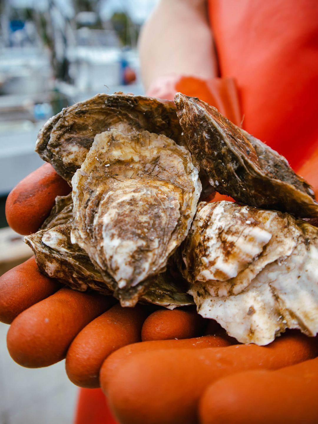 Home | H&H Fresh Fish | Santa Cruz, CA