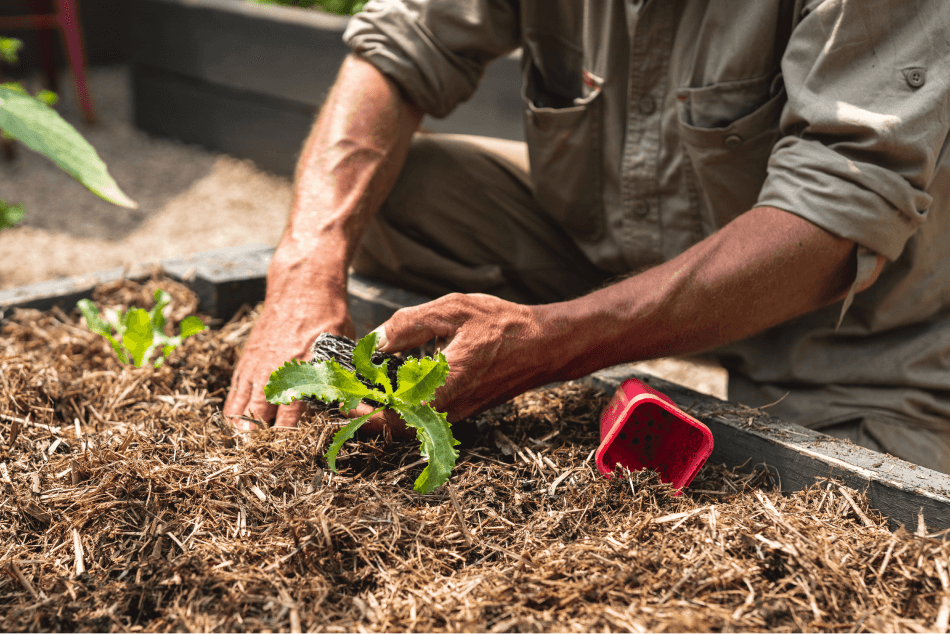 enrich360 | circular food waste solutions