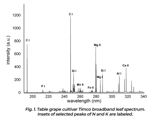 Finding a LIBS method for improved plant nutrition in grape production
