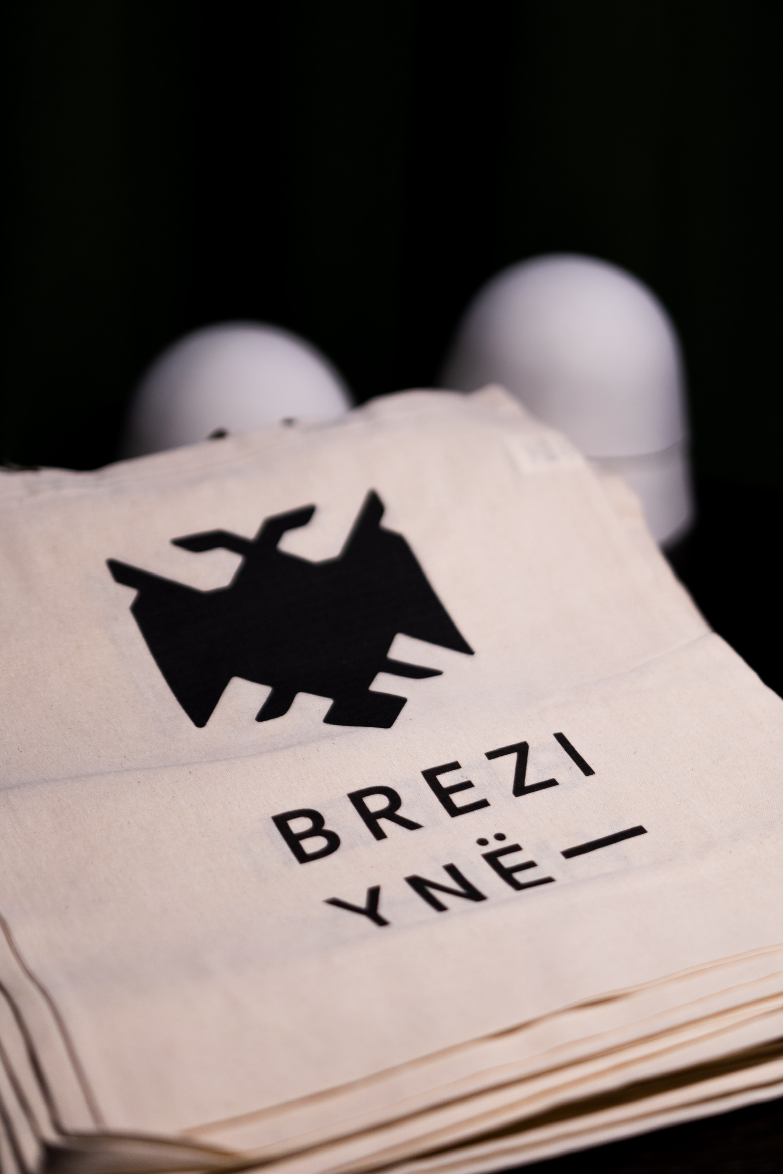 BREZI YNË - Connecting through heART