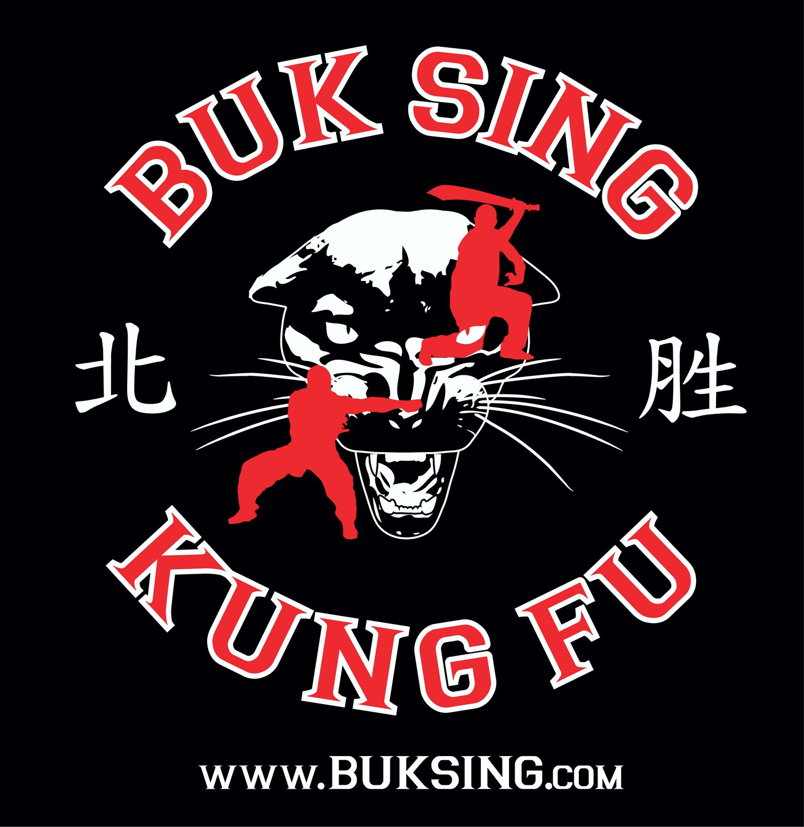 Buk Sing Kung Fu