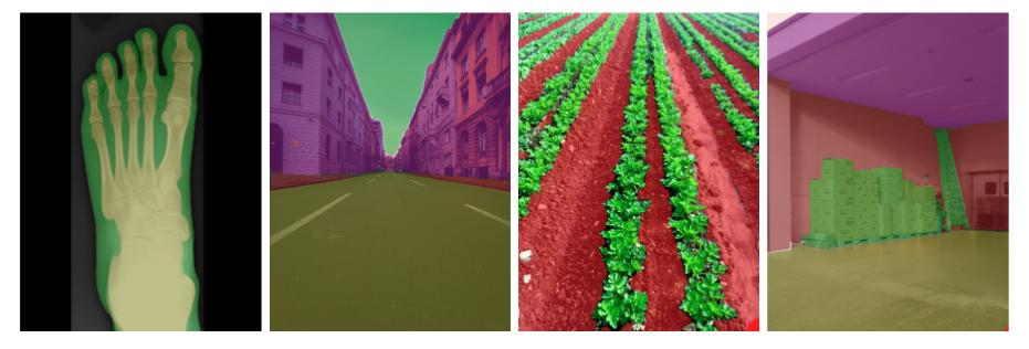 Semantic Segmentation with trainYOLO