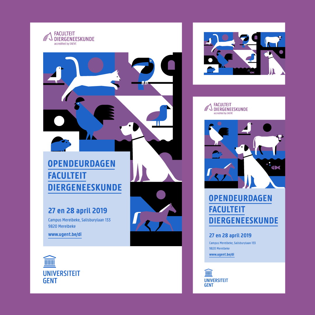 STANS - Stijn Anseel