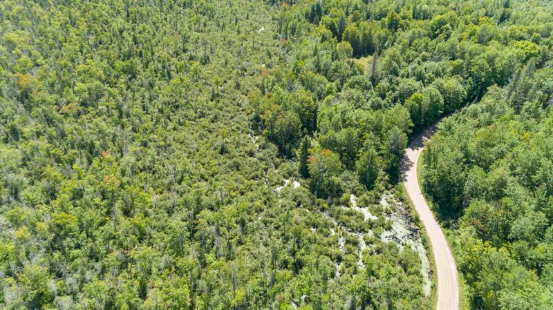 Diana Walker | Land O' Lakes Property