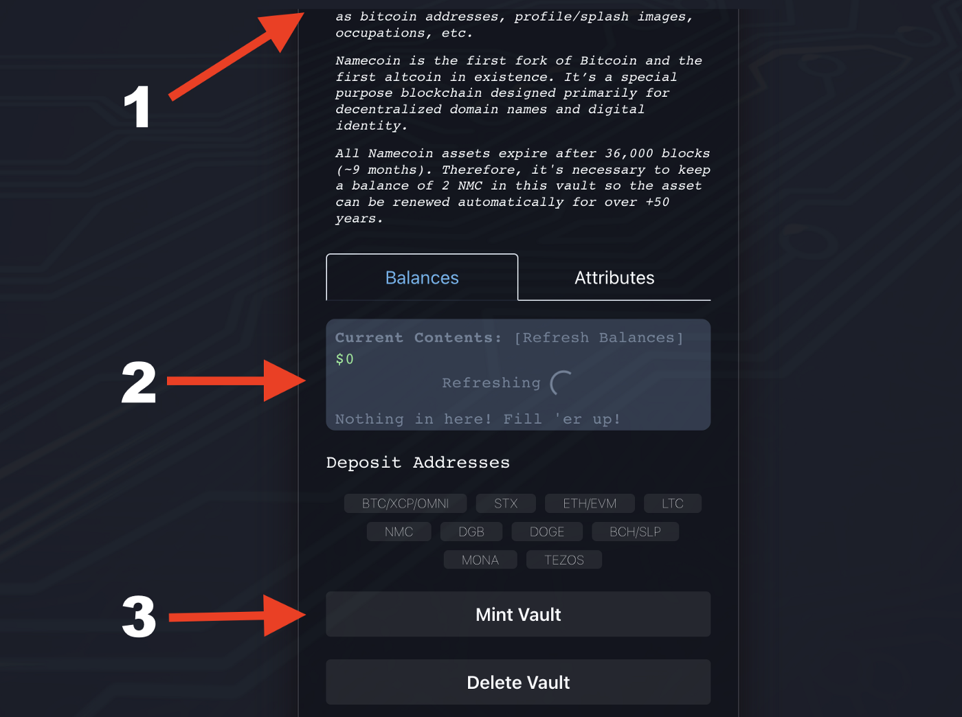 How to Vault your Namecoin Assets - Crypto - Webflow Ecommerce Website Template