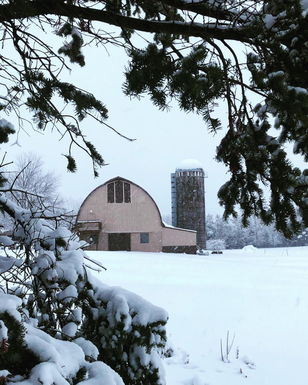 Cady Acres — Twin Cities Area Rustic Wedding Barn Venue