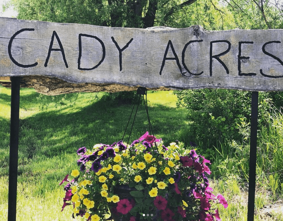 Cady Acres — Twin Cities Area Rustic Wedding Barn Venue
