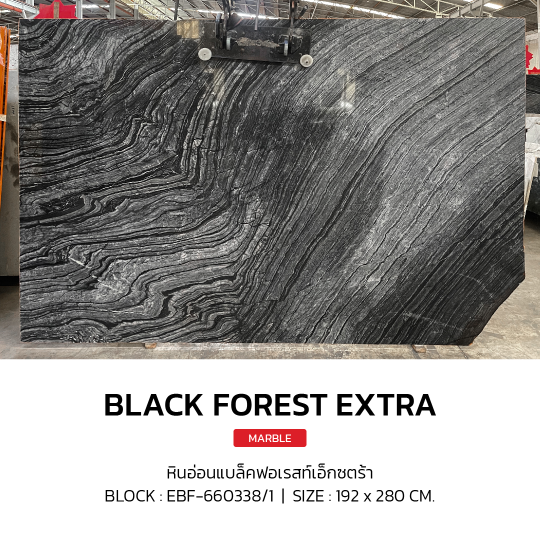 BLACK FOREST EXTRA