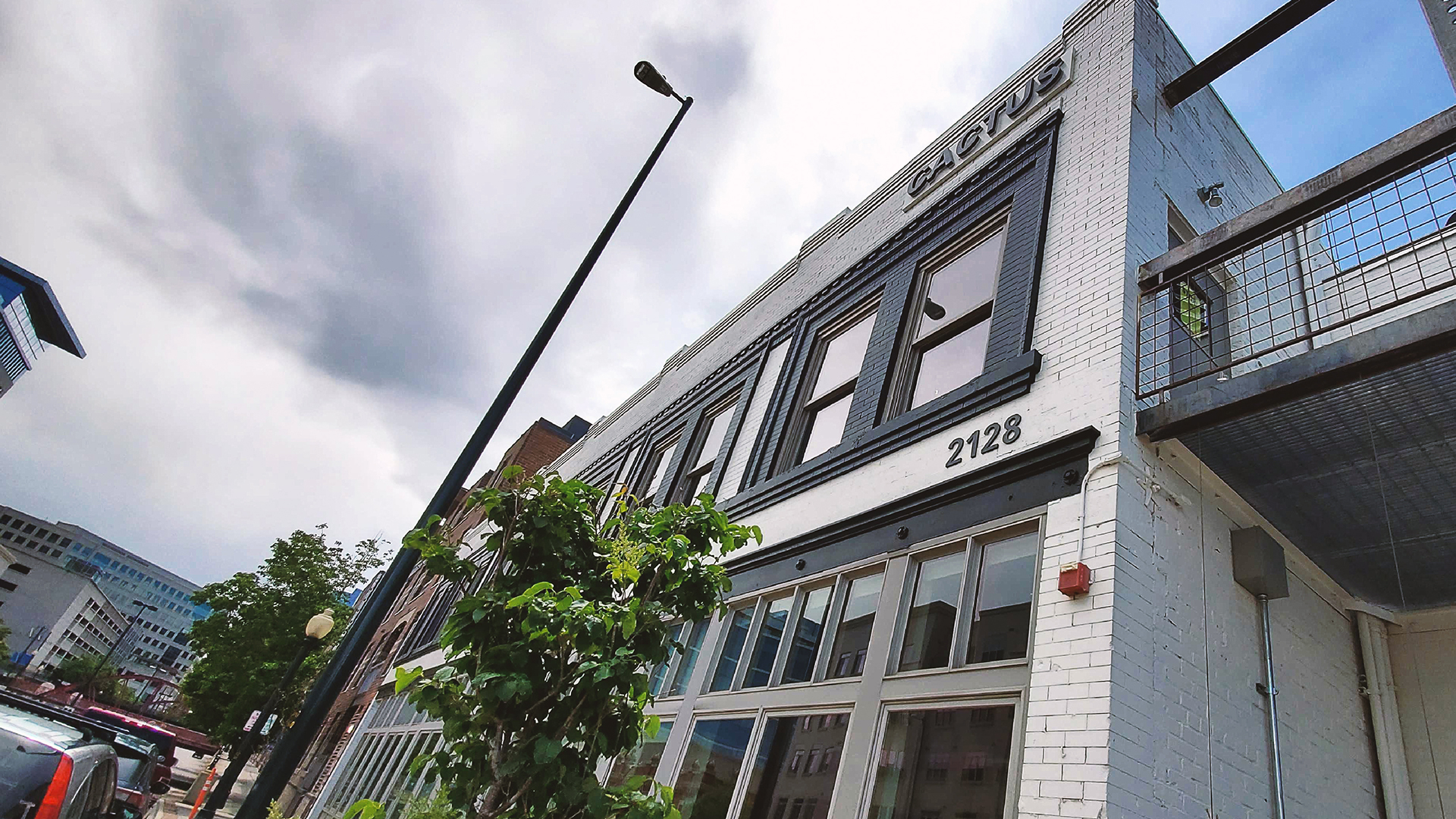 Cactus Brand in Bloom | Cactus Brand in Bloom