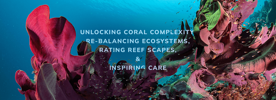 Coral Champions
