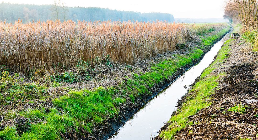 Ditching & land drainage services in Norfolk & Suffolk