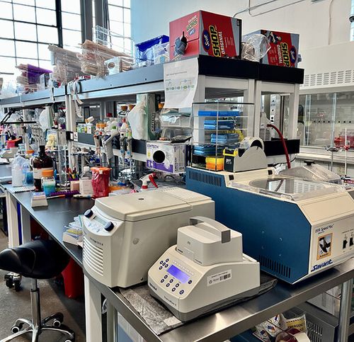 Career at Rubi Laboratories