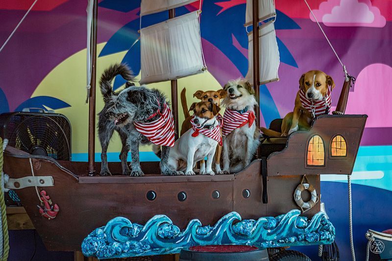 Sleepy Hollow Ren Faire