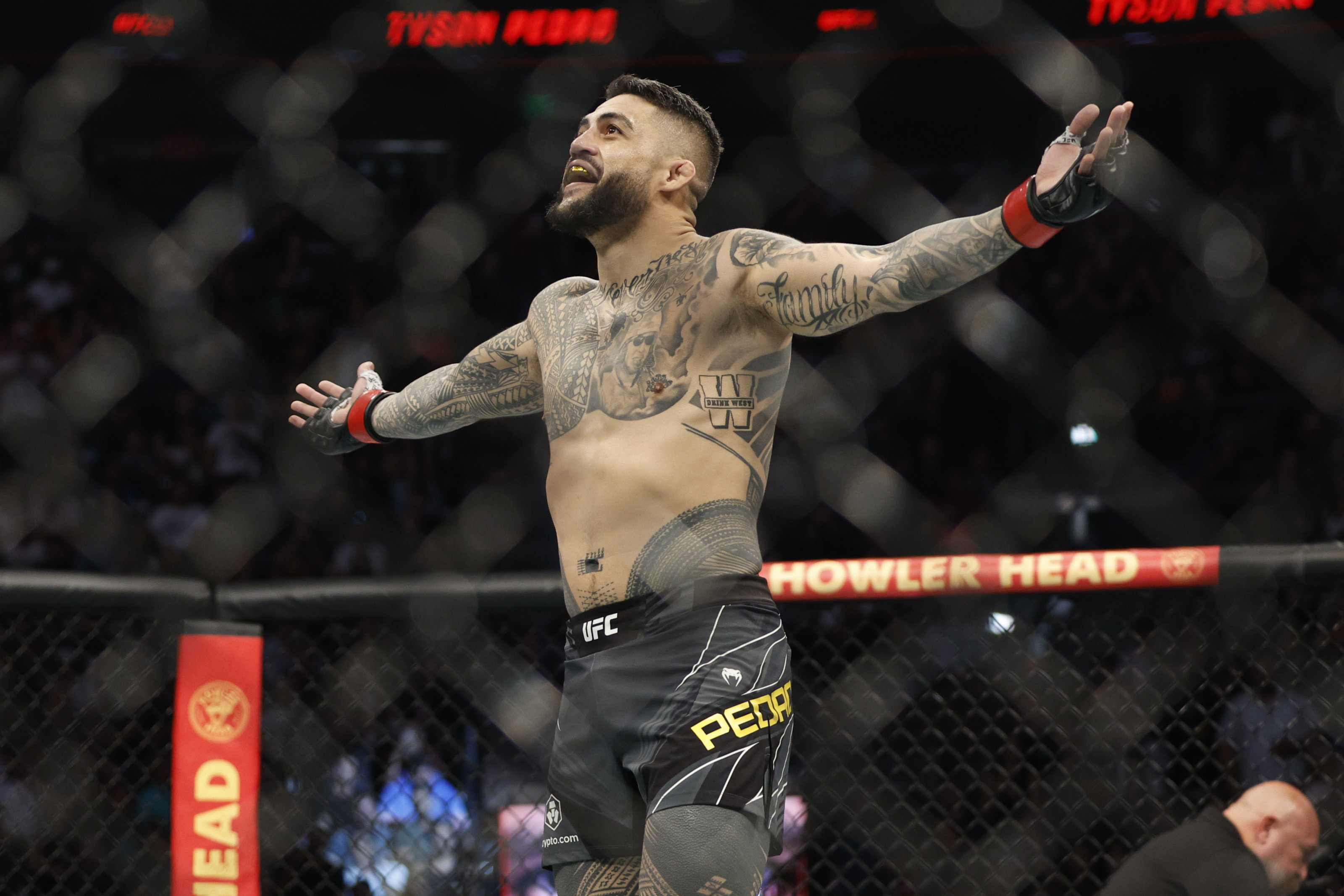 Tyson Pedro's Long Road to Recovery – Real Sydney News Tyson Pedro's Long Road to Recovery – Real Sydney News