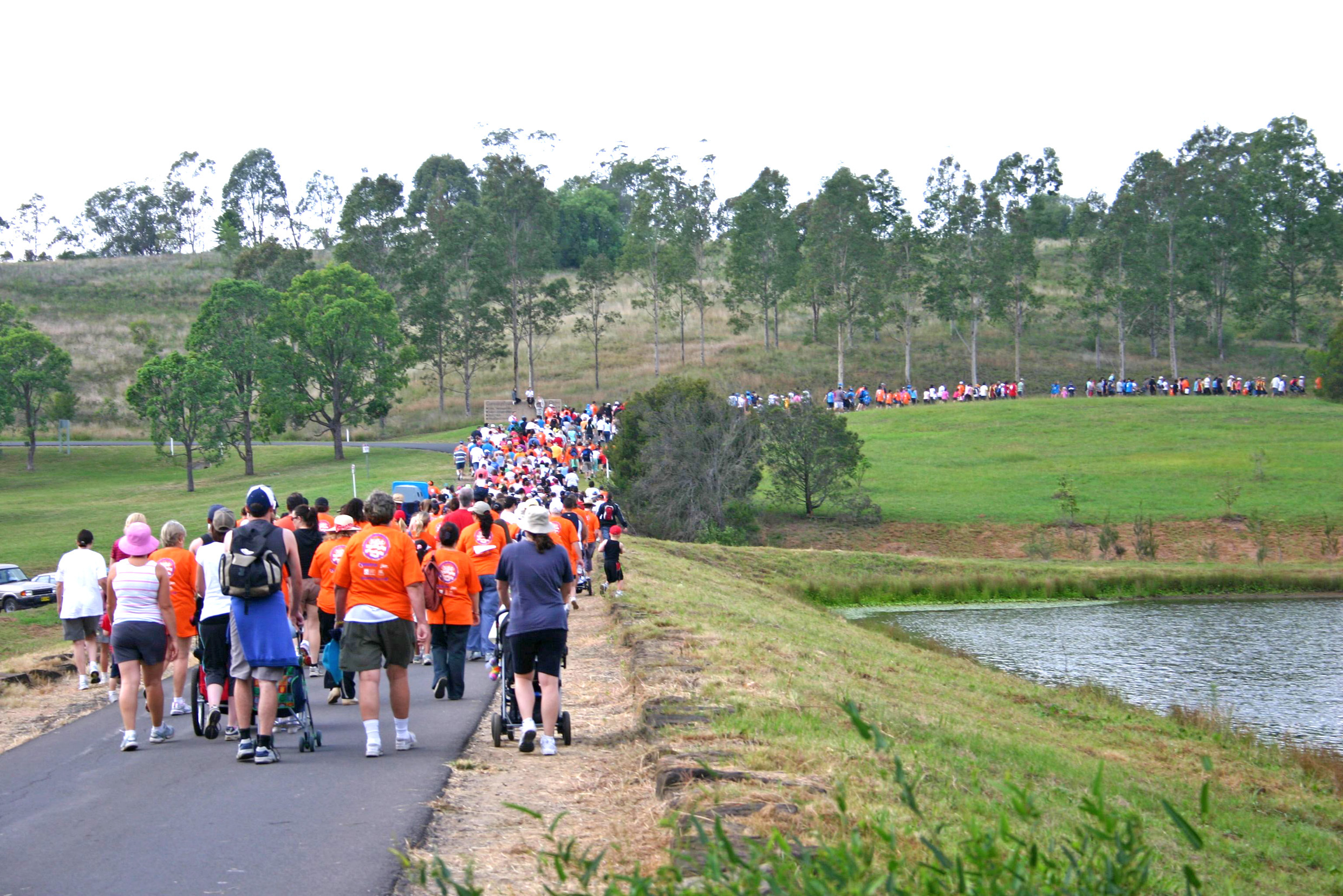 Walk up to a challenge in Mount Annan – Real Sydney News