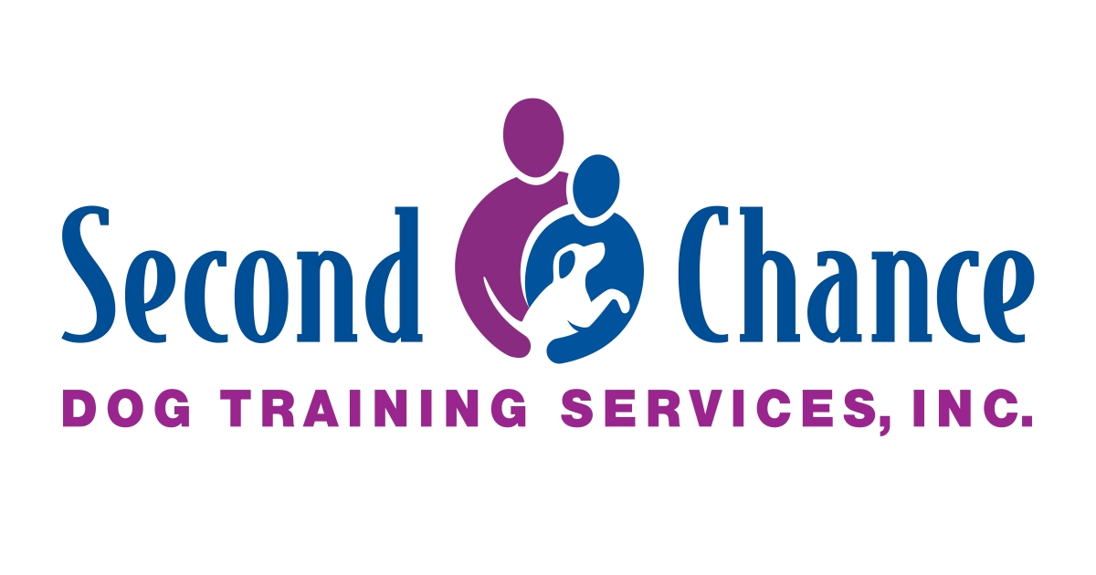 Meet Your Dog Trainer | Eileen Haley