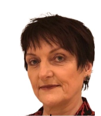 Expert Witnesses