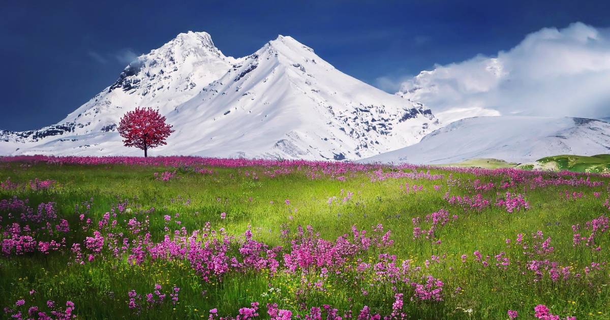 Biodiversity Metric 4.0 for BNG planning and compliance