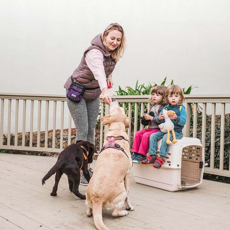 Dog Meets Baby with Dominika Knossalla-Pado