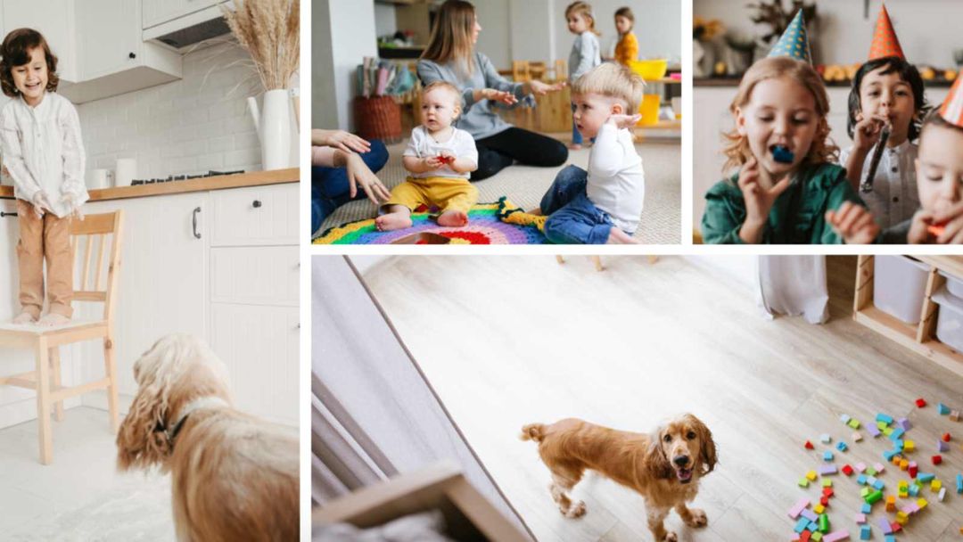 Dog Meets Baby