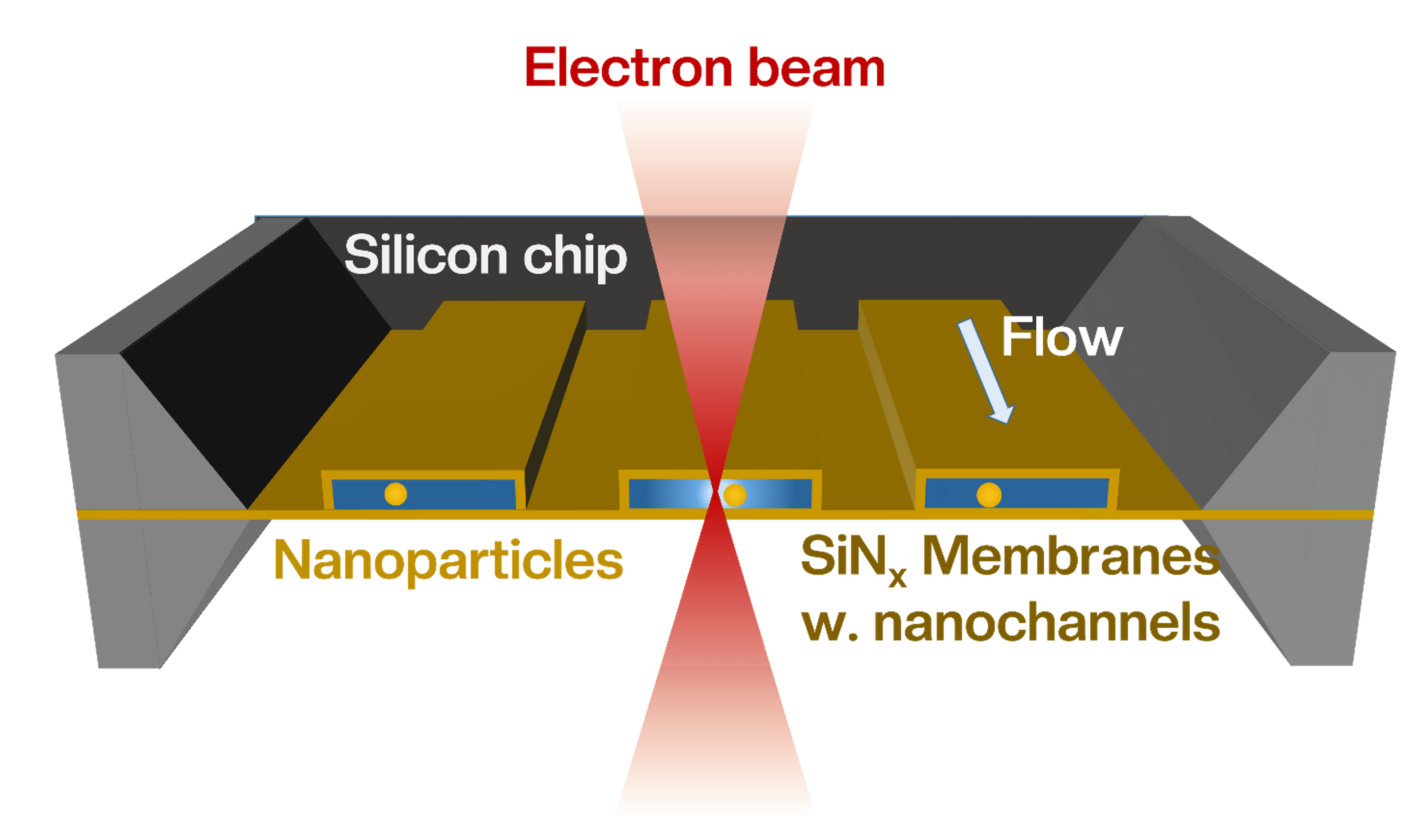 Insight Chips