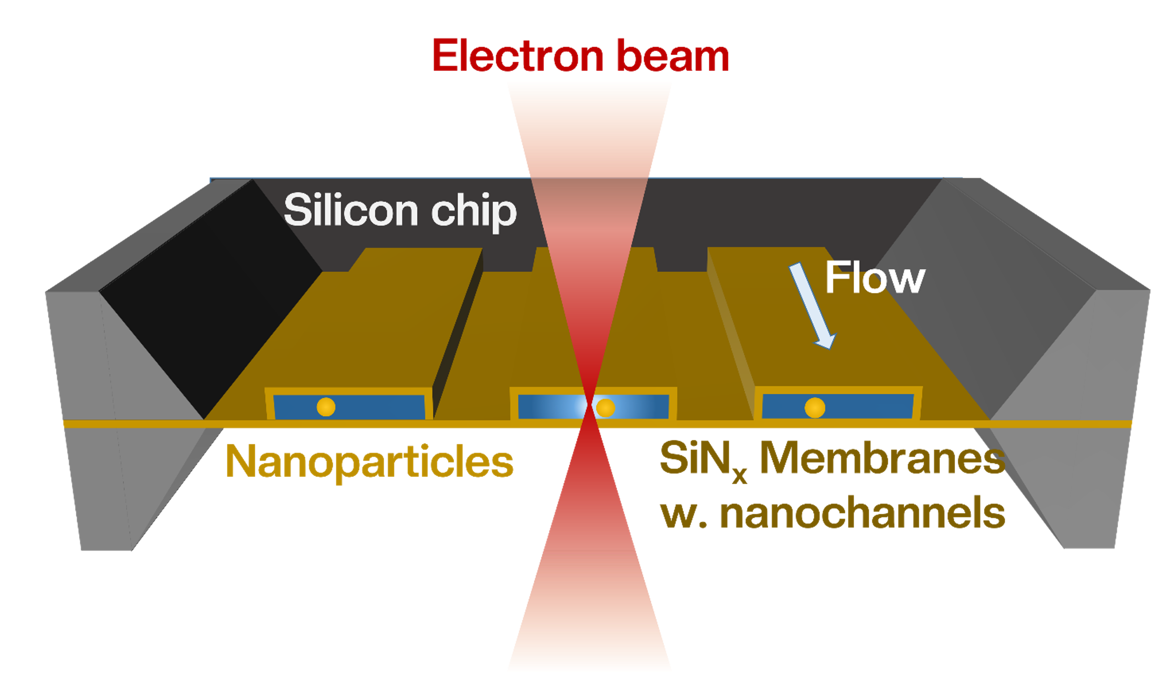 Insight Chips