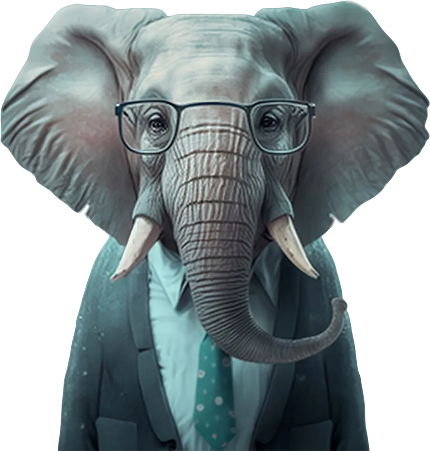 Accounting & Finance Firm Melbourne | Elephant Advisory