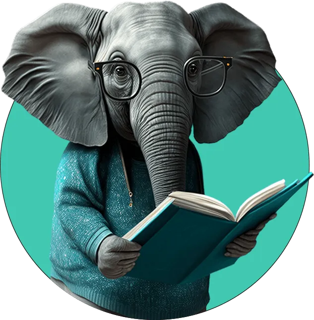 Cash Flow Management Melbourne | Elephant Advisory