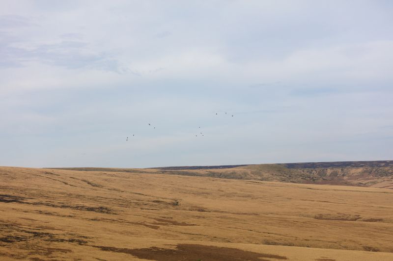 Studio.Build – Umberto