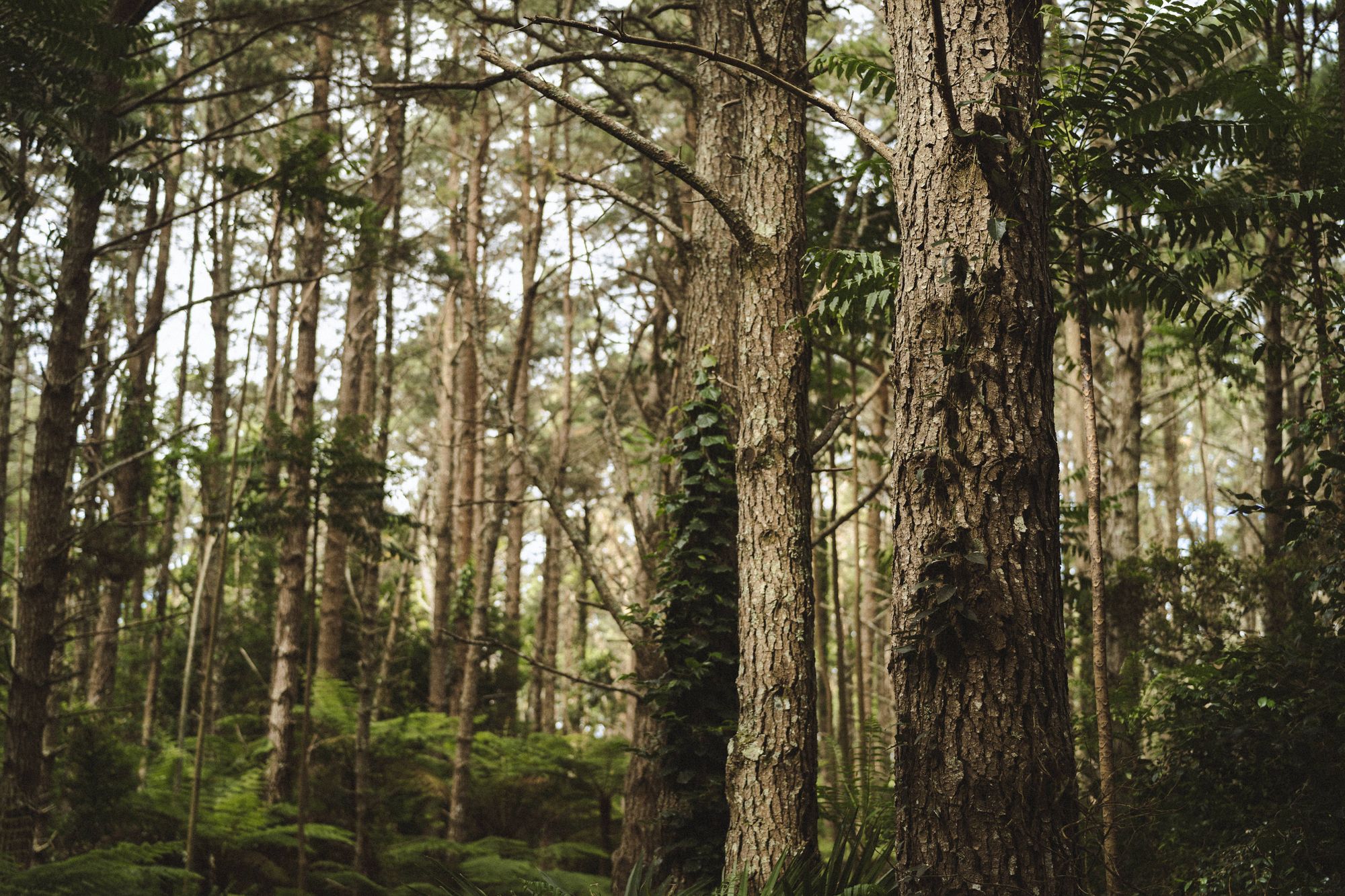 Come Together with Unyoked x Normal | An off-grid intimacy course