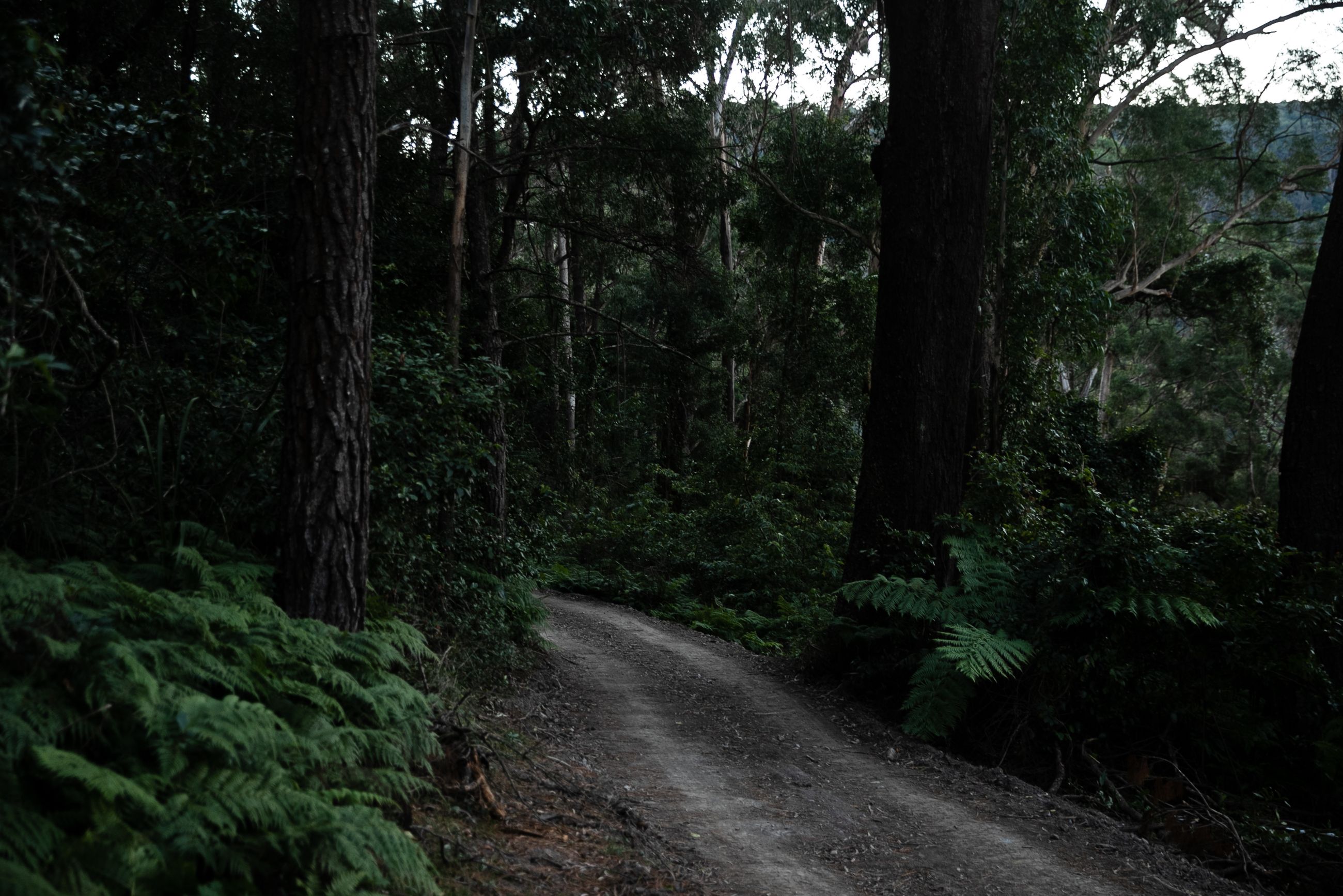 Come Together with Unyoked x Normal | An off-grid intimacy course