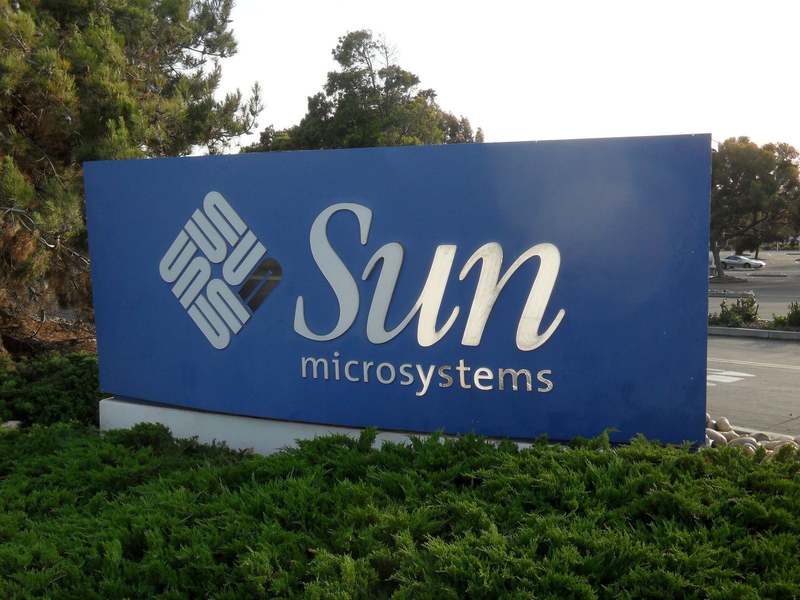 Peter Trapasso | AEM Website Producer