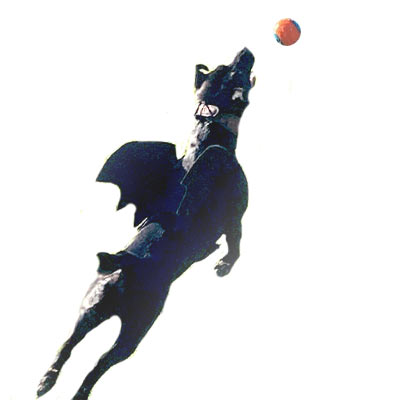 Meet the Team | Gamechangers Organisation